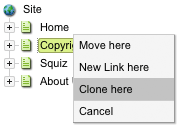 Cloning an Asset - Concepts - Manuals | Squiz Matrix 5 Documentation
