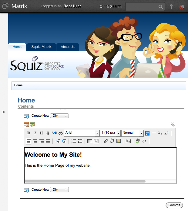 Simple Edit Interface - Concepts - Manuals | Squiz Matrix 5 Documentation